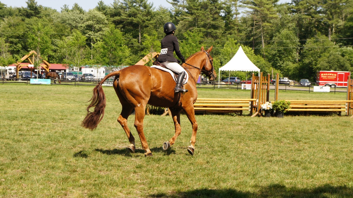 Claddagh Farm Photos