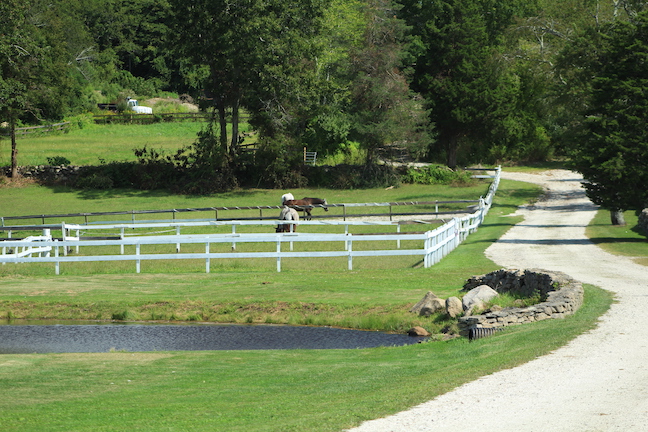 Claddagh Farm Photos